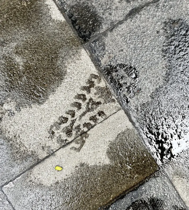 A Sprinting Realization – Writing Erickson – Adventure + Writing Blog