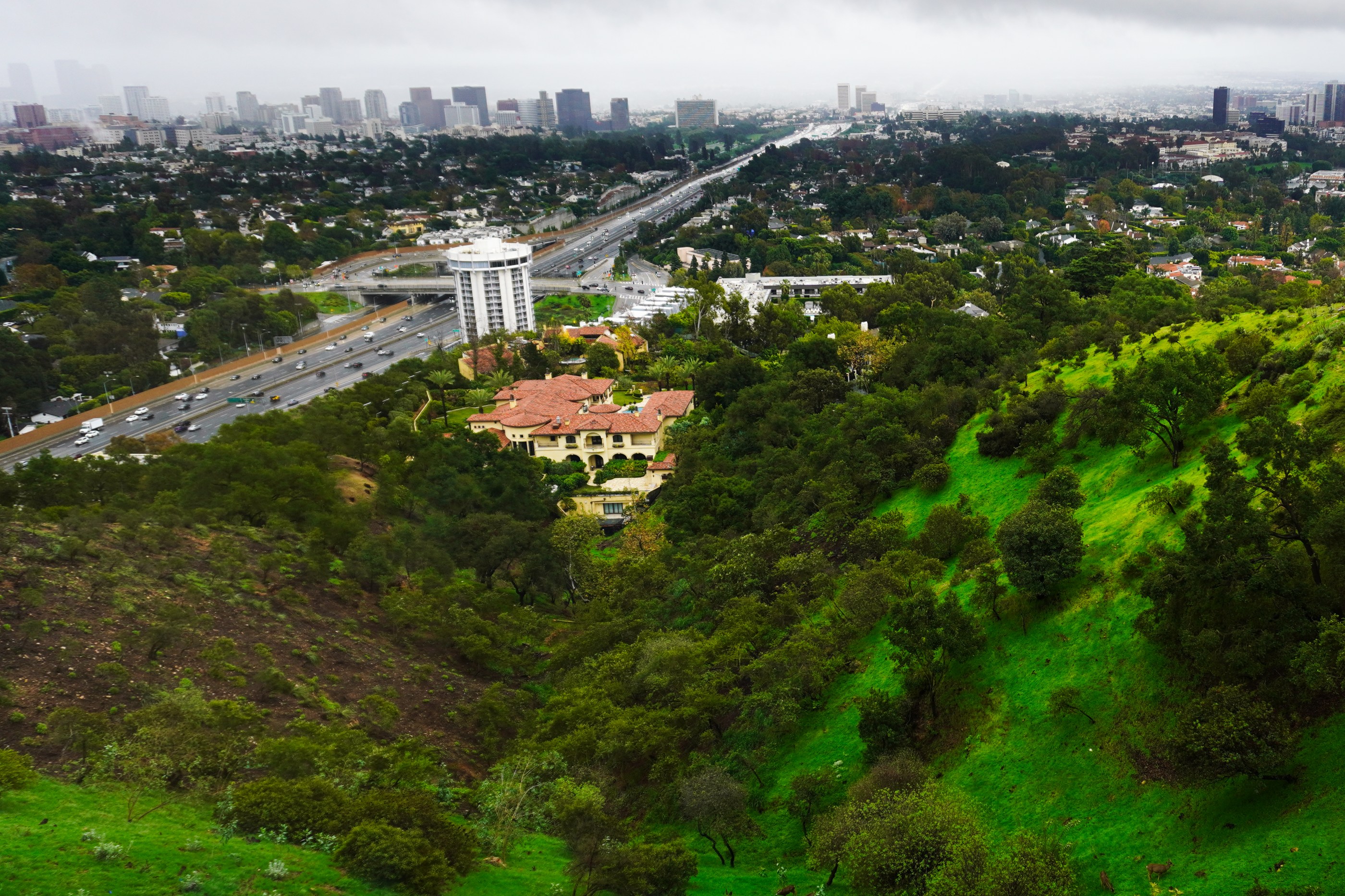 Black Lily Pad – Poem – Writing Erickson – Adventure + Writing Blog